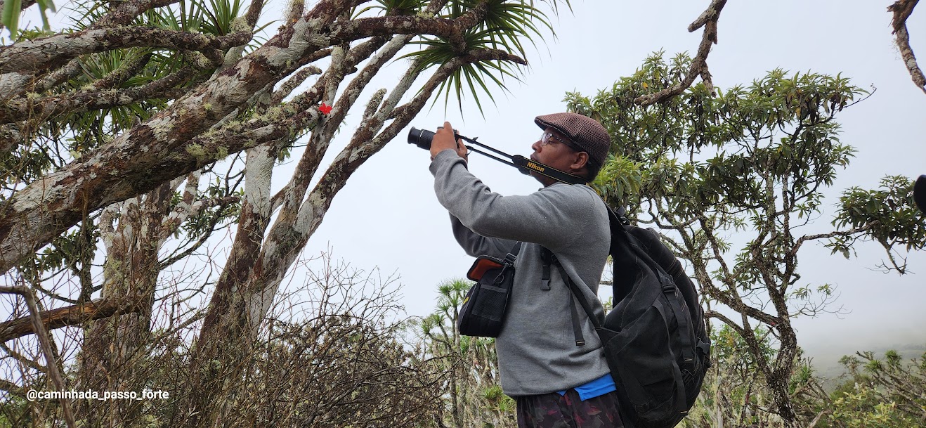 5 Fatos fascinantes sobre fotografia da natureza. - Caminhada passo forte