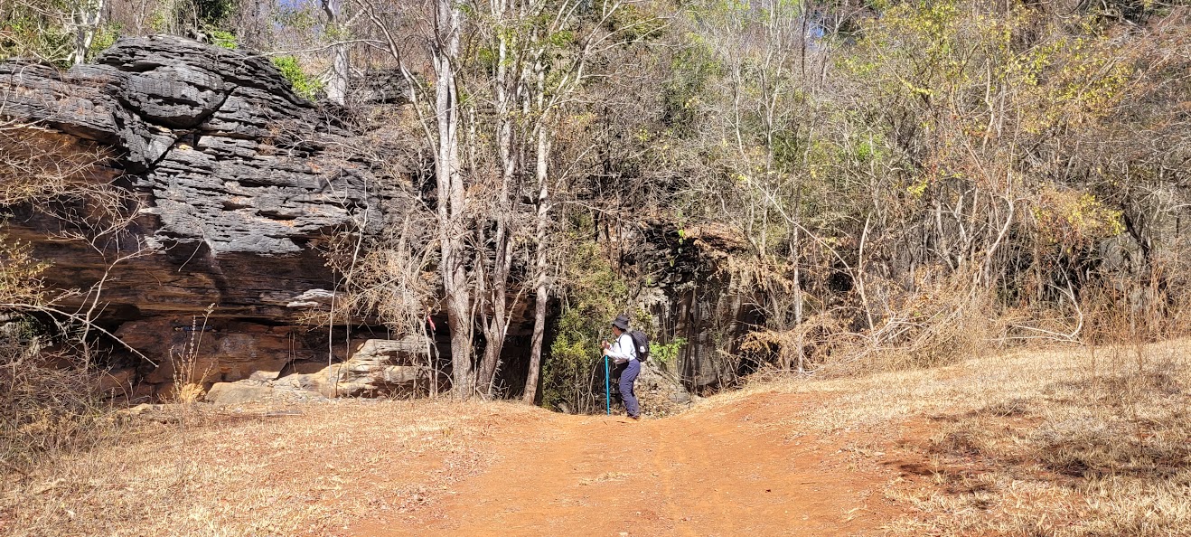 Fazenda Goiabeiras, 9 atrações imperdíveis! - Caminhada passo forte