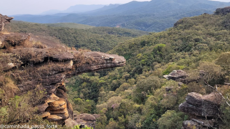 Parque Natural Municipal Cachoeira das Andorinhas. 5 atrações em Ouro ...