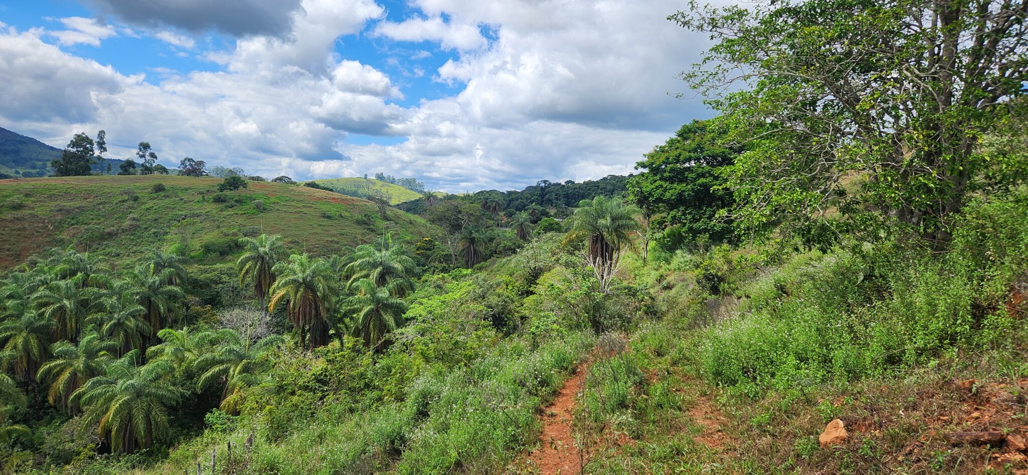 As 7 trilhas mais fotogênicas de Minas Gerais. - Caminhada passo forte