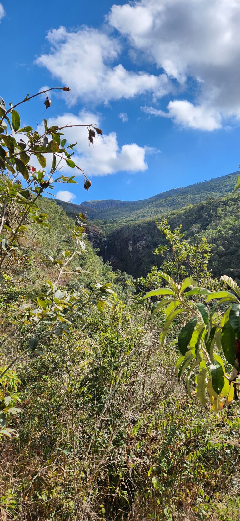 As 7 trilhas mais fotogênicas de Minas Gerais. - Caminhada passo forte