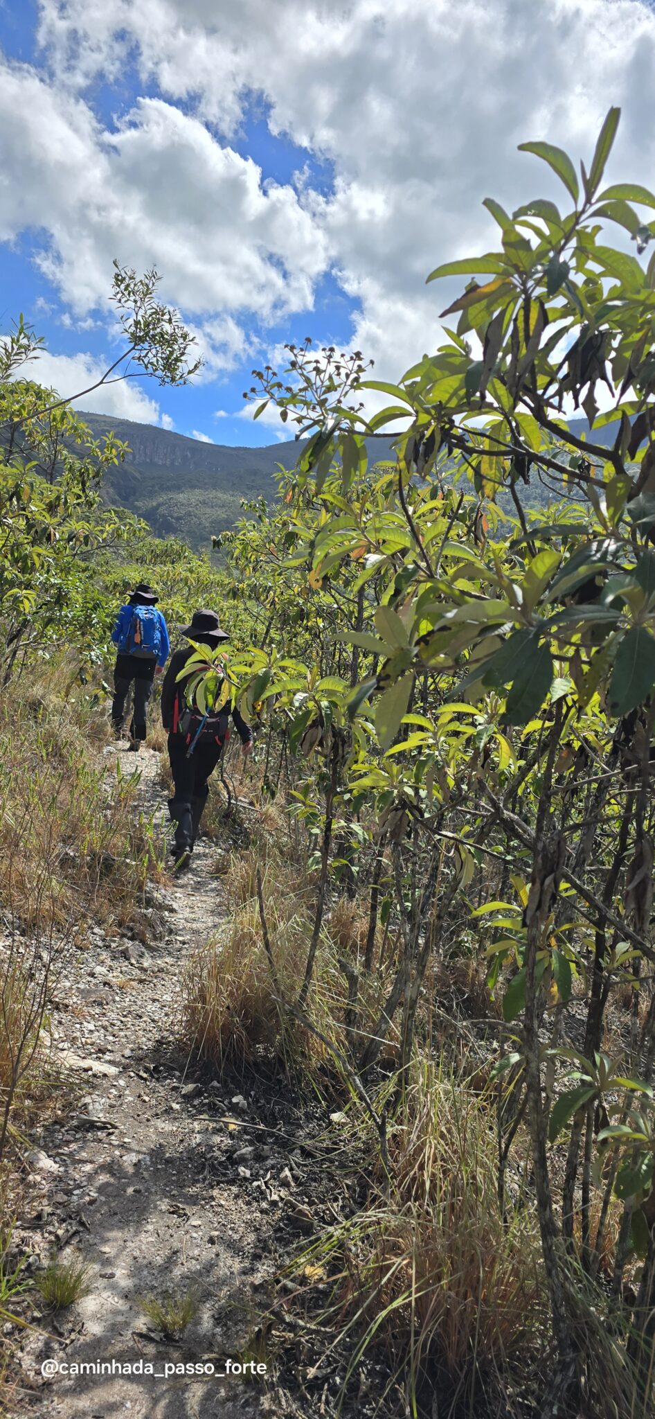 As 7 trilhas mais fotogênicas de Minas Gerais. - Caminhada passo forte